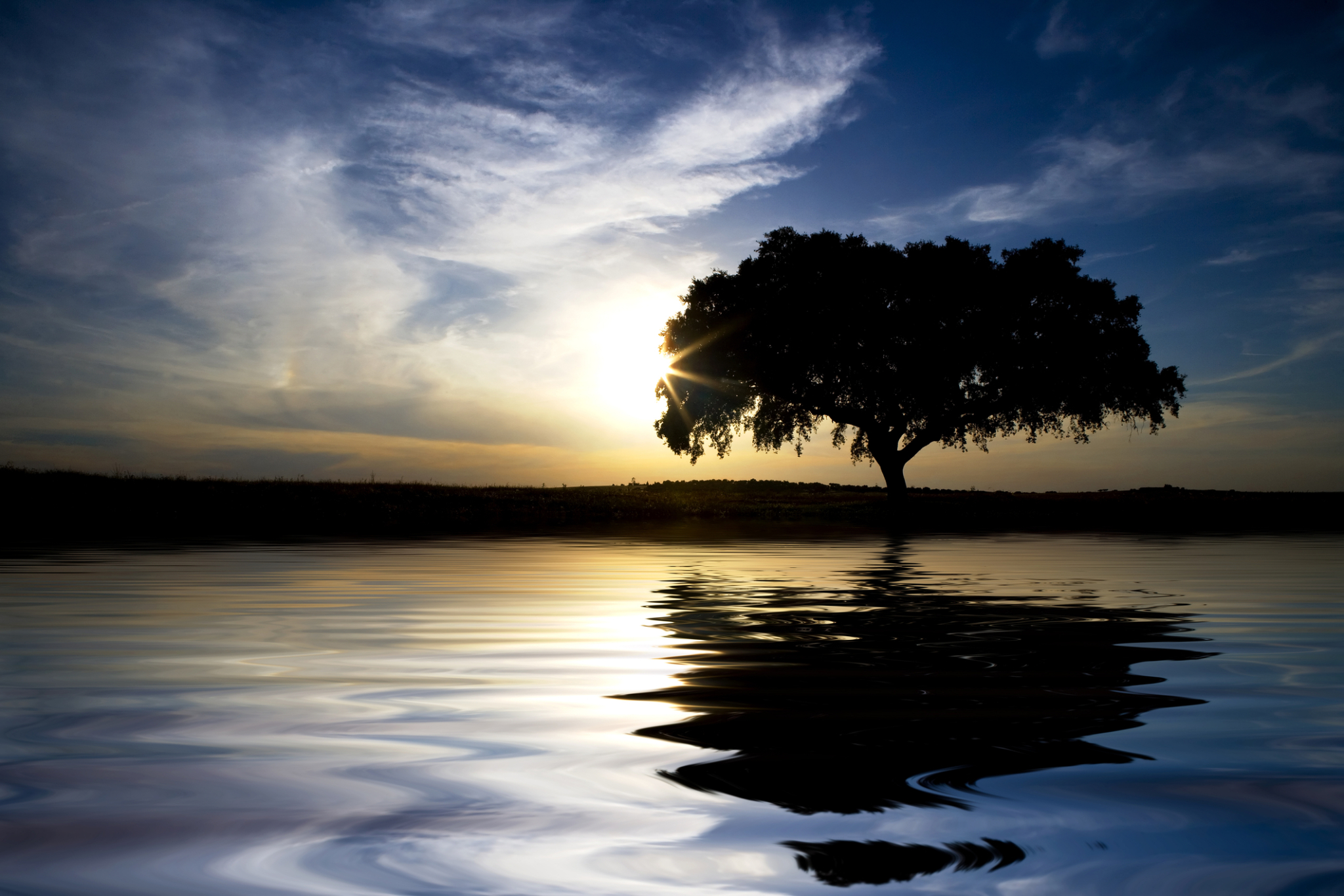Unleashing Intelligence | Nurturing Brilliance